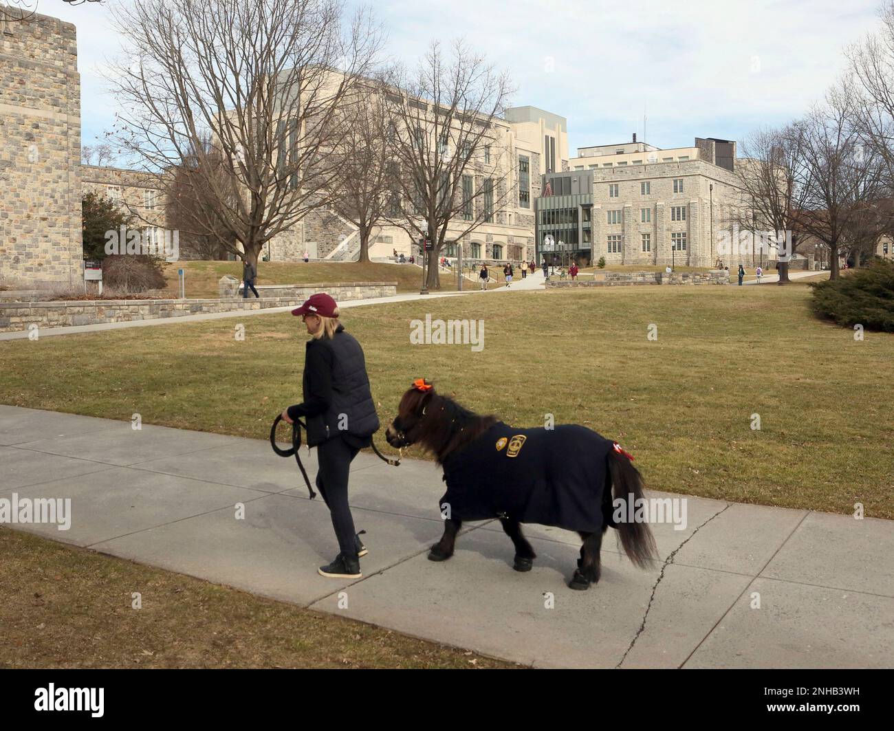Leslie Roberts-Gregg leads Ringo the Virginia Tech Police Patrol Pony ...