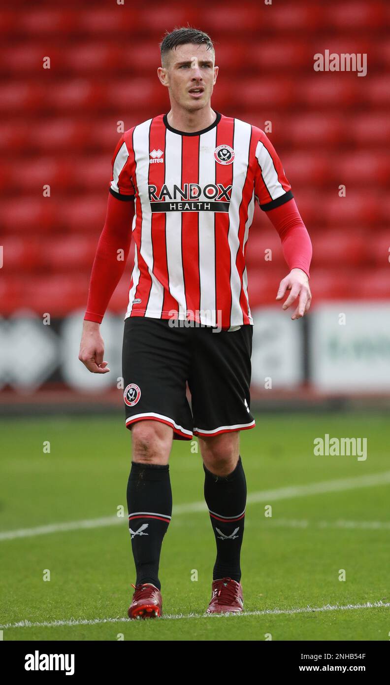 Sheffield united u21 v sheffield wednesday hi-res stock photography and ...