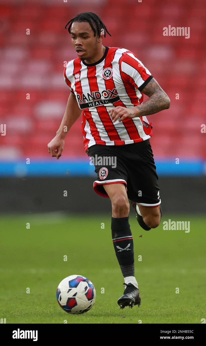 Sheffield united u21 v sheffield wednesday hi-res stock photography and ...