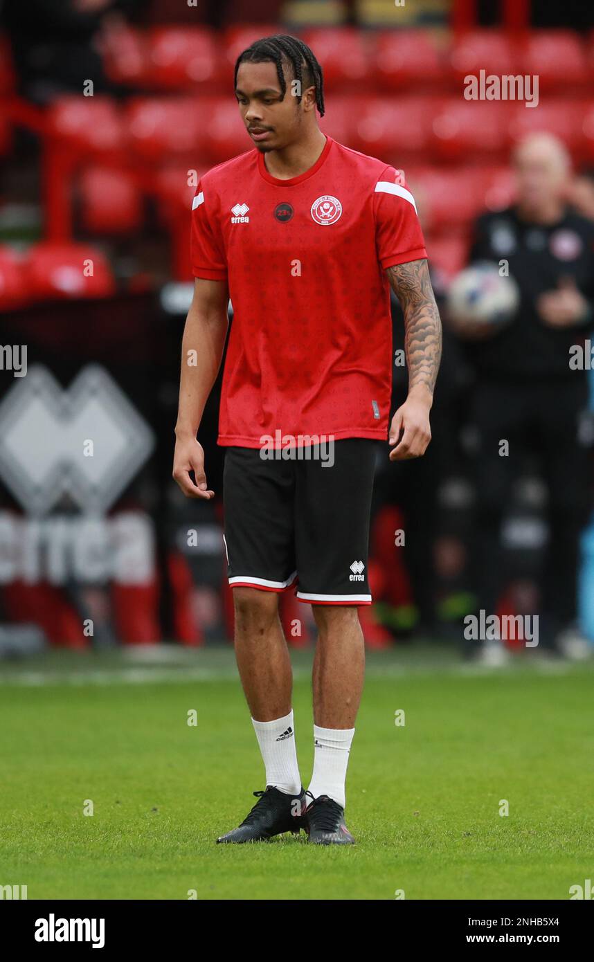 Sheffield united u21 v sheffield wednesday hi-res stock photography and ...