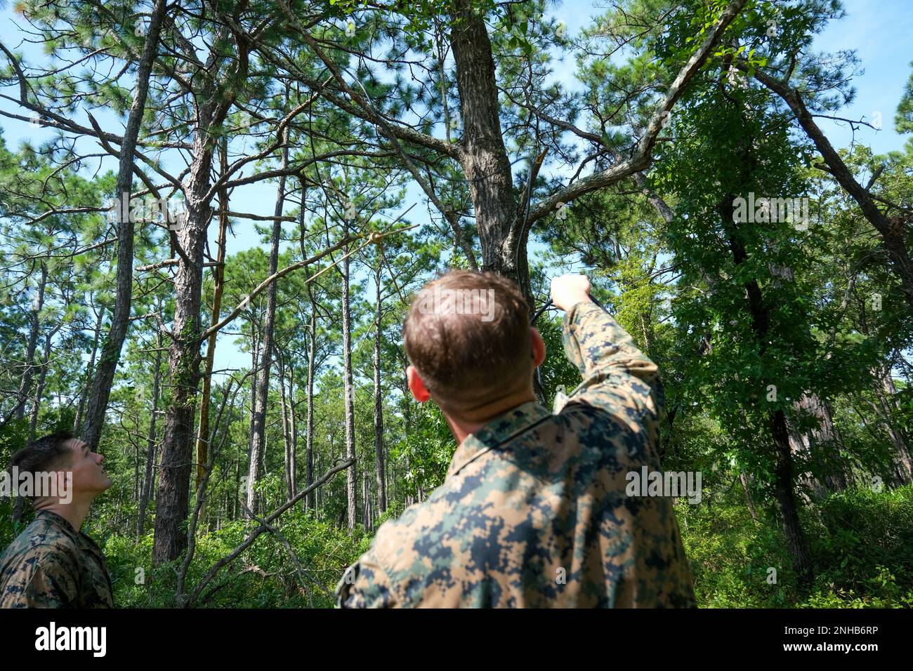 U.S. Marines with Ground Sensor Platoon, 2nd Intelligence Battalion, II ...