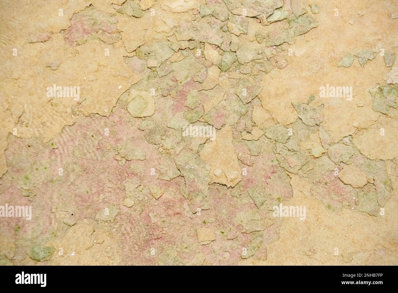 Dry flaking salt patterns and colours in tropical sun on tropical atoll ...