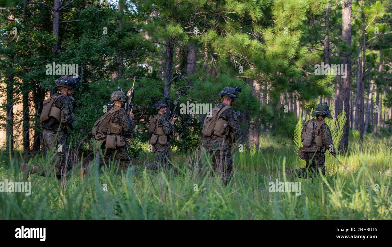 Marines patrol forest camp hi-res stock photography and images - Alamy