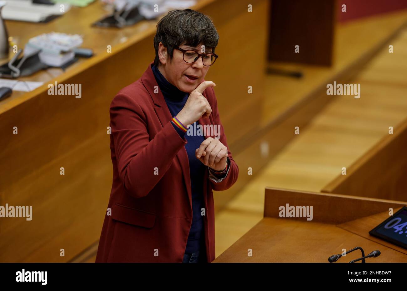The syndic of Unidas Podemos, Pilar Lima, speaks during a control ...