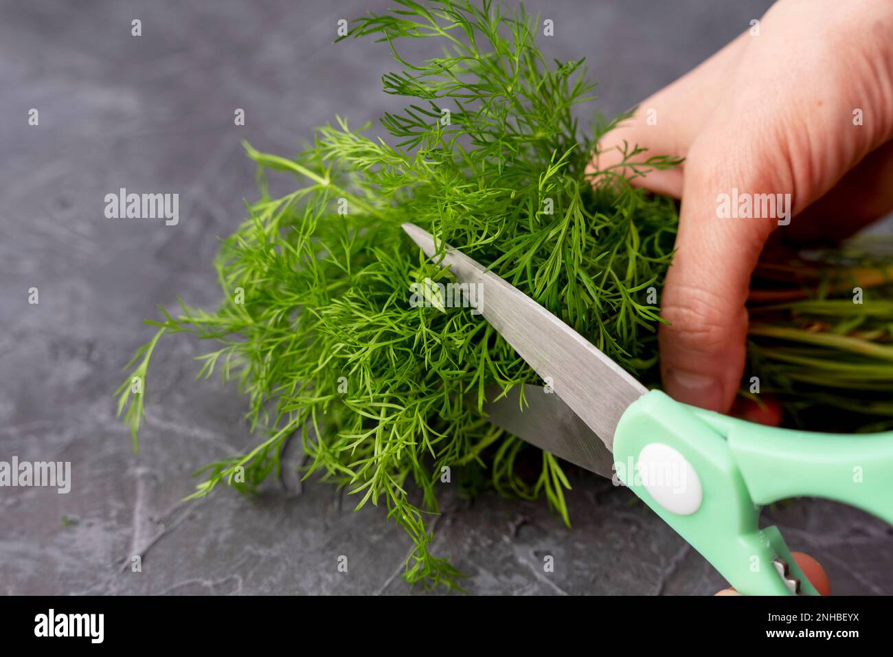 Herb scissors cutting dill hi-res stock photography and images - Alamy