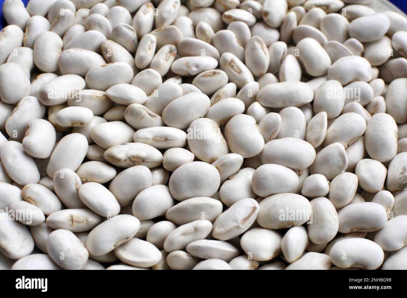 Background from a crop of dry beans Stock Photo - Alamy