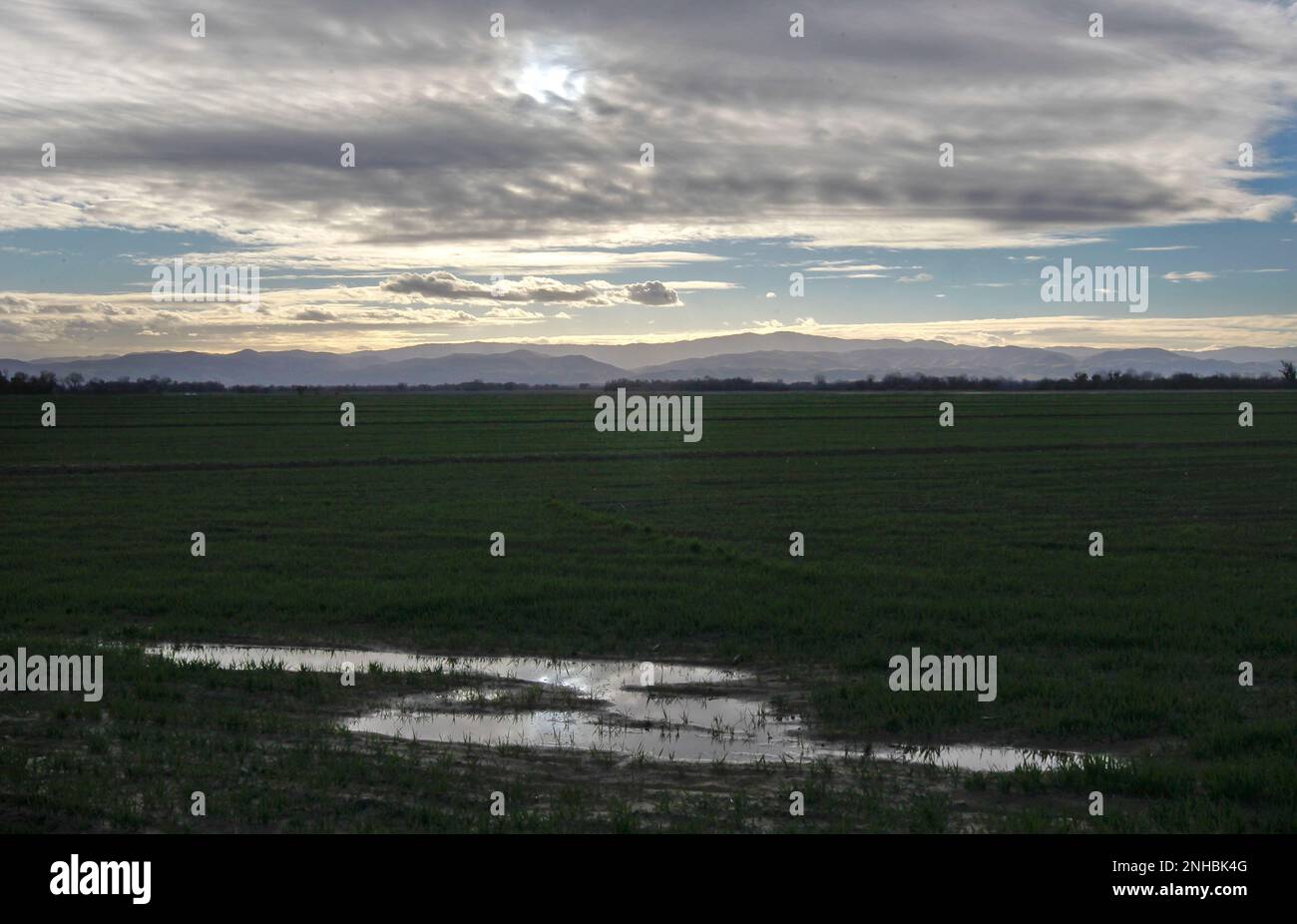 The Dos Rios Ranch property which is still farmland on Friday Jan. 11 ...