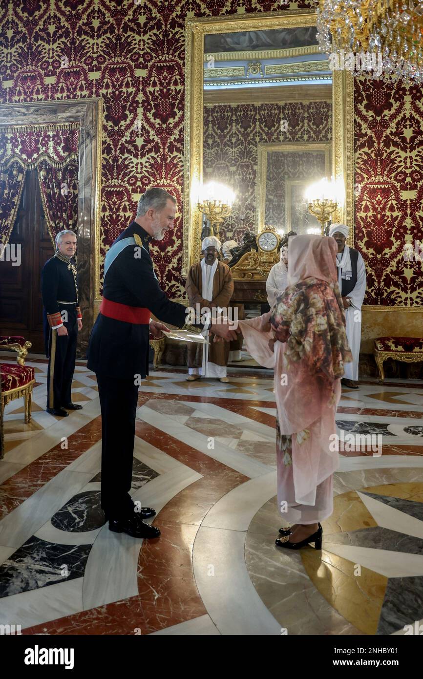 King Felipe VI receives the Ambassador of the Republic of Sudan, Maha ...