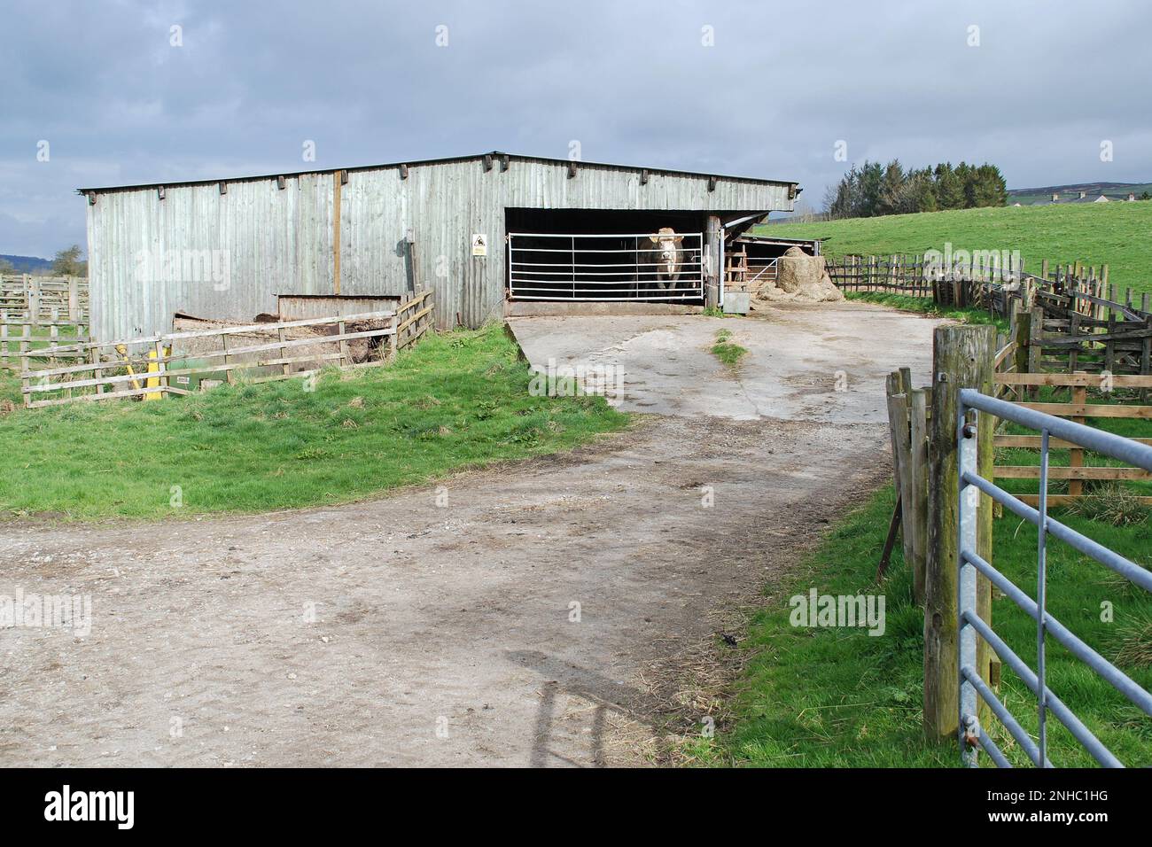 Animal shelter housing on farmland at the bottom of Back Lane in Long ...