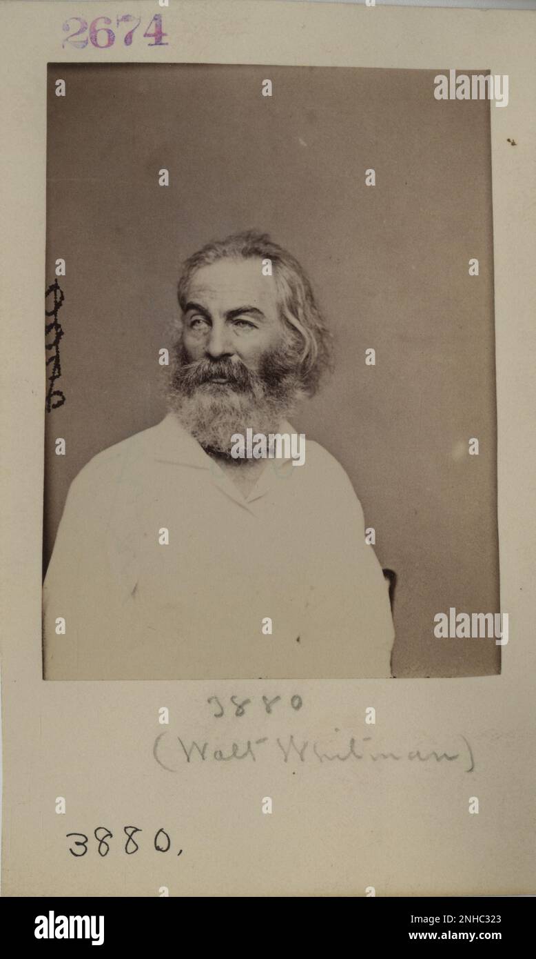 Walt Whitman 19th Century Mathew Brady, Quartermaster, and Other Civil ...