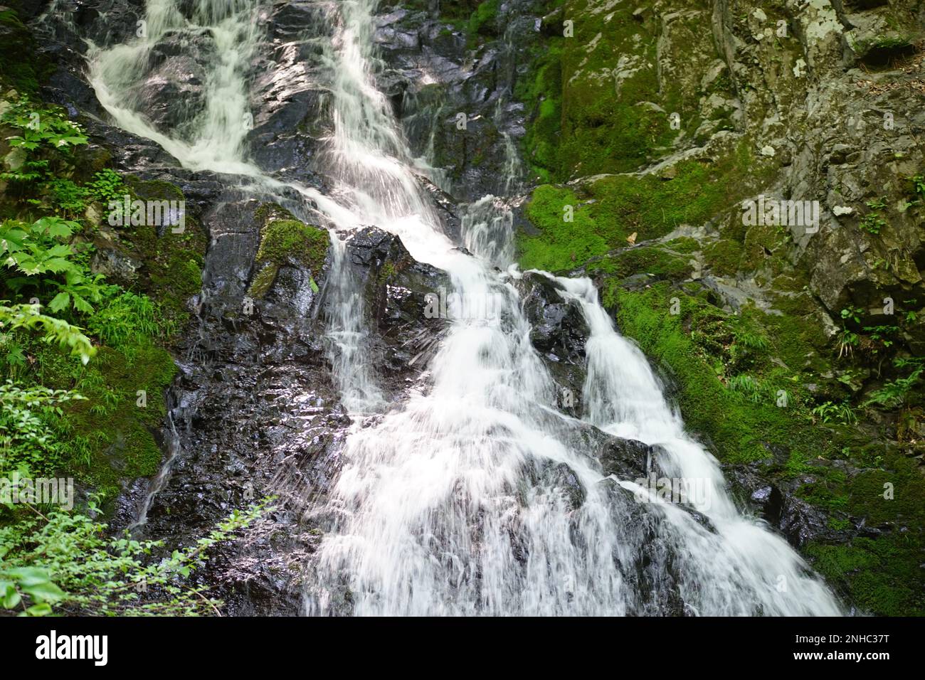 Sony japon hi-res stock photography and images - Alamy