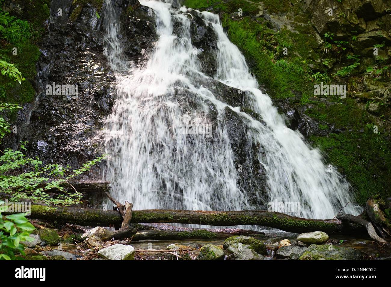 Sony japon hi-res stock photography and images - Alamy