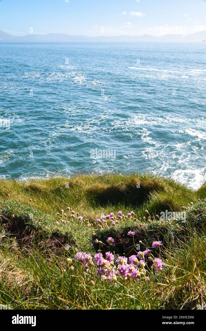 The power of the sea Stock Photo - Alamy