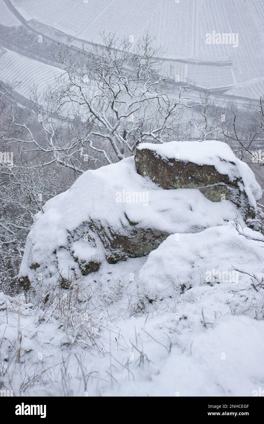 Tree growing out of a rock on the edge of a hill overlooking farmland ...