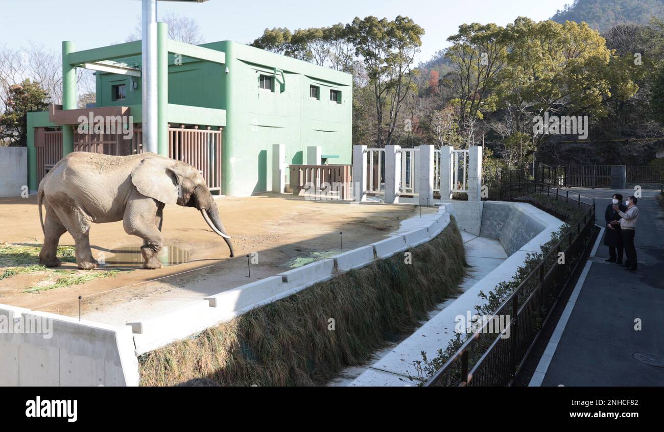 Japanese Crown Prince Akishino visits a Zoo in Hiroshima City ...