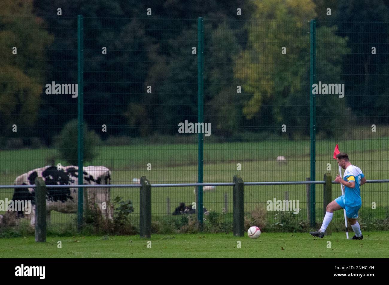 GUILSFIELD, WALES - 23 October 2021: JD Cymru North league fixture ...