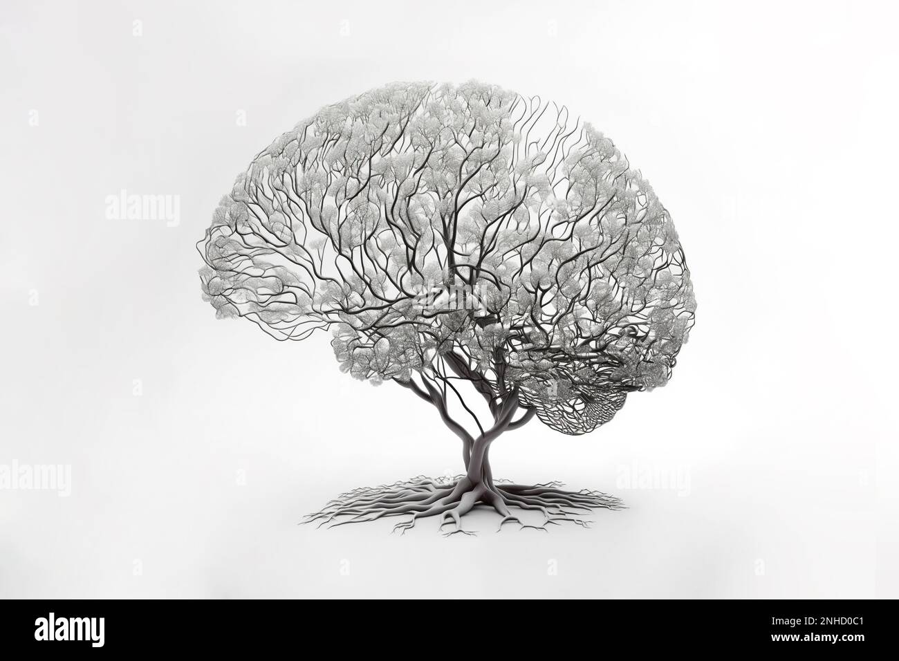 Brain regions hi-res stock photography and images - Alamy