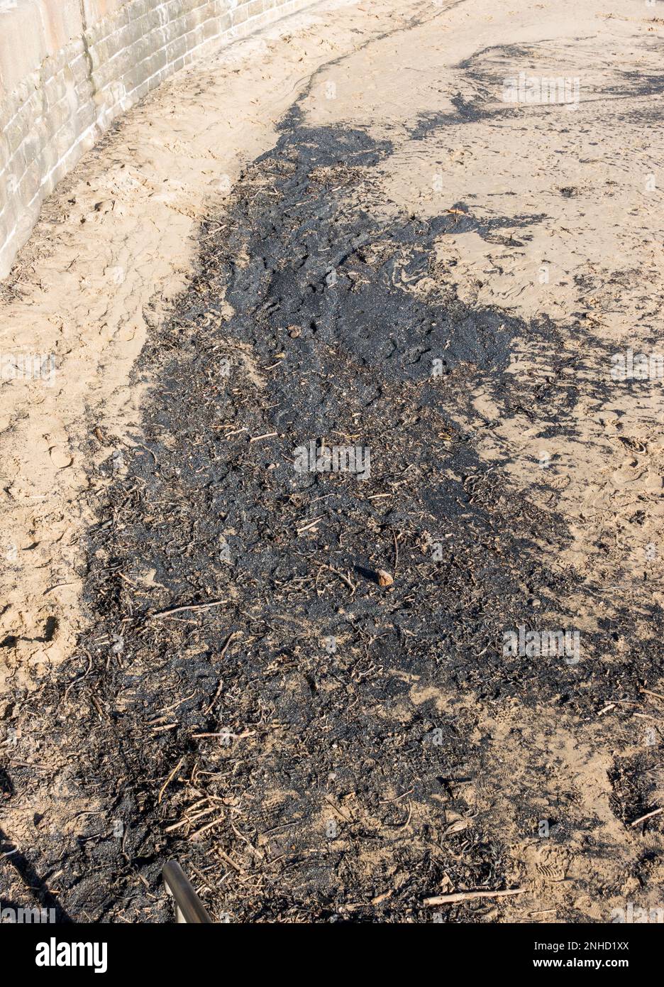 Sea coal washed onto the beach at Seaham Harbour in Co. Durham, England ...