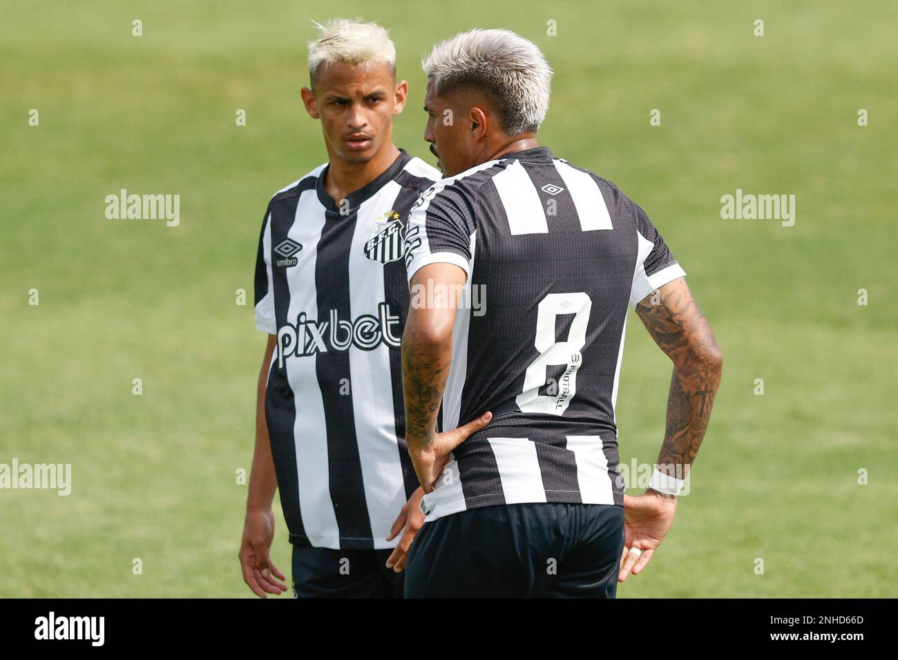 SP - Diadema - 01/17/2023 - COPA SAO PAULO 2023, SANTOS X AGUA SANTA ...