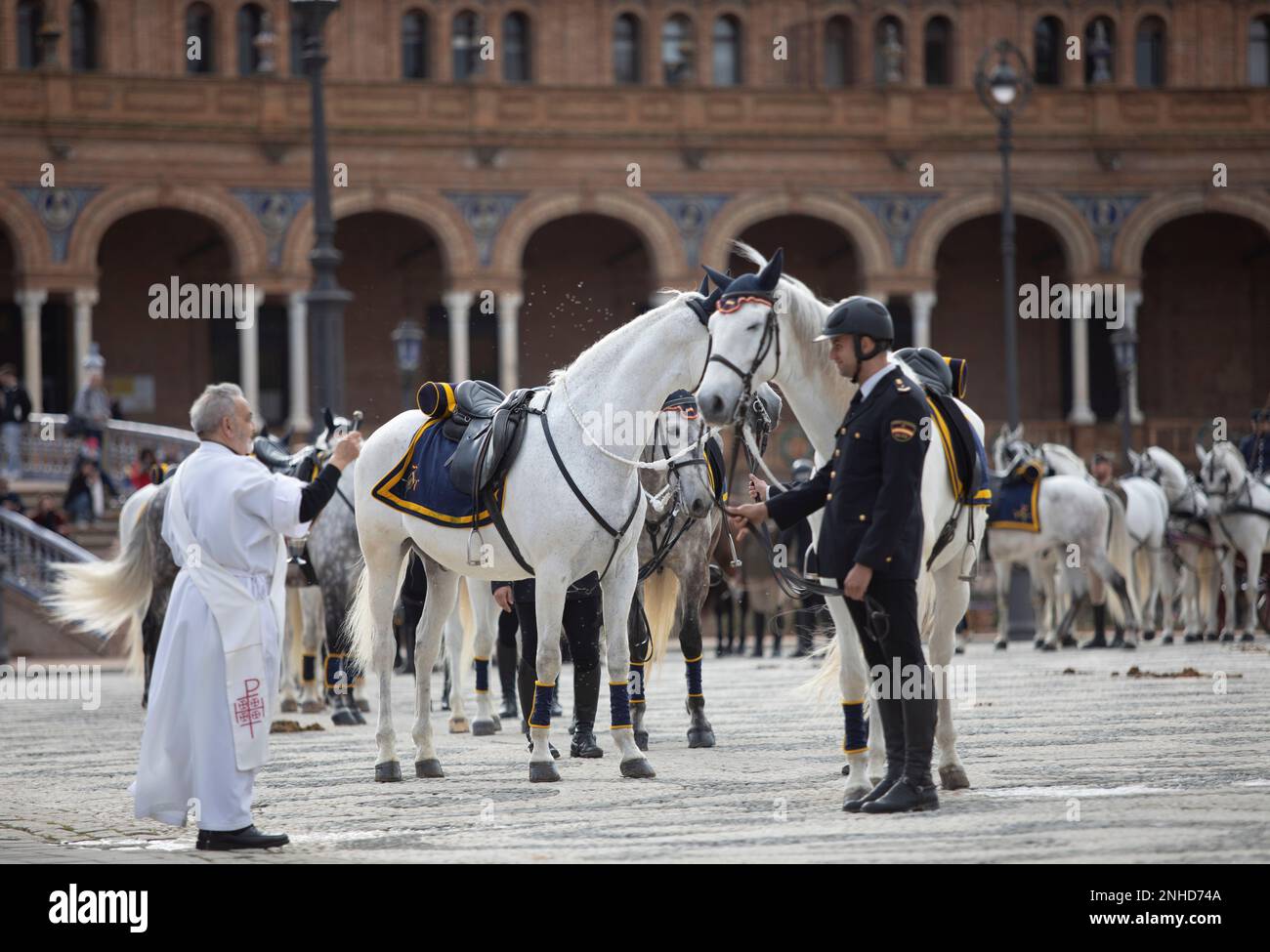 Cavalry unit during the act of recognition to the animals of the ...