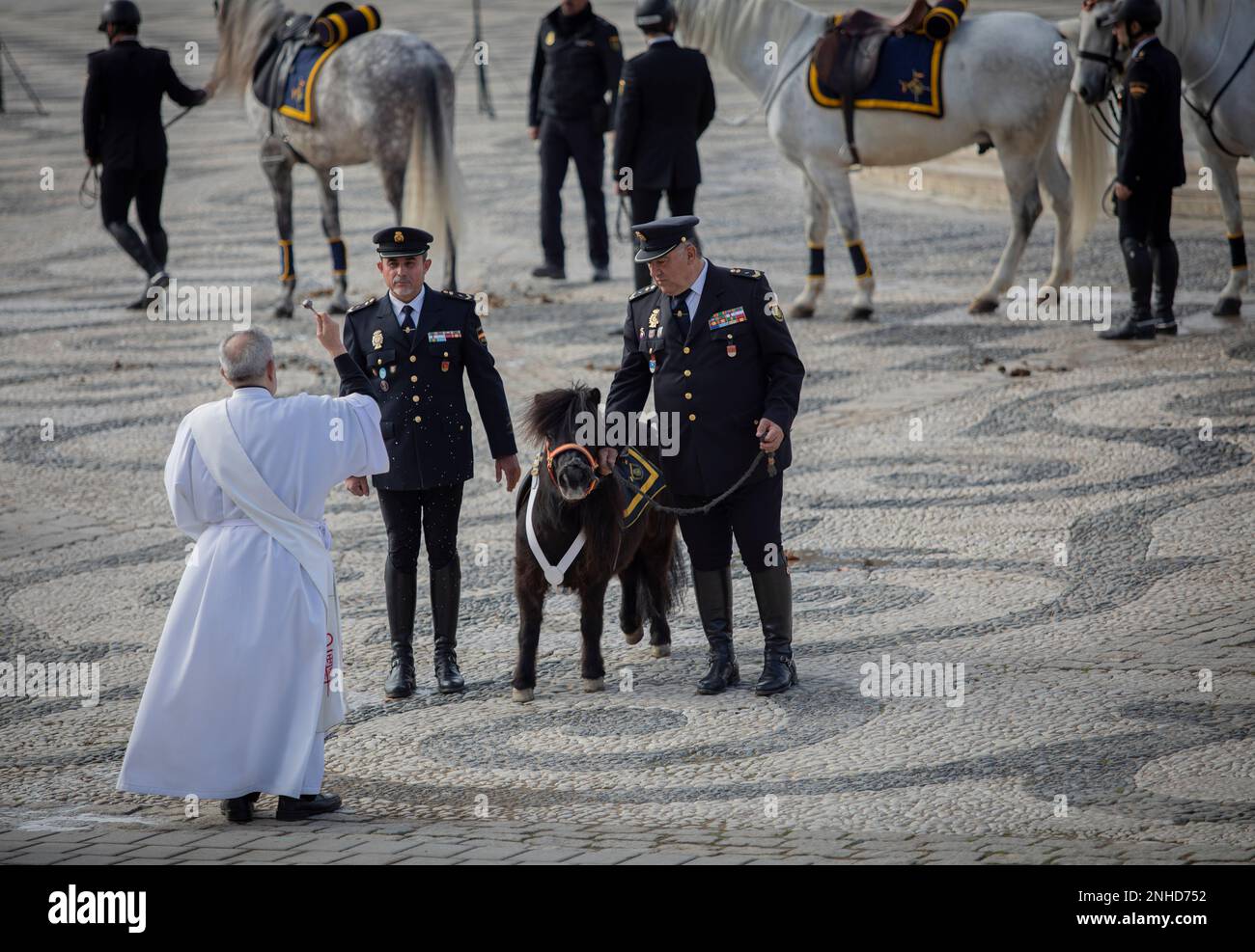 Cavalry unit during the act of recognition to the animals of the ...