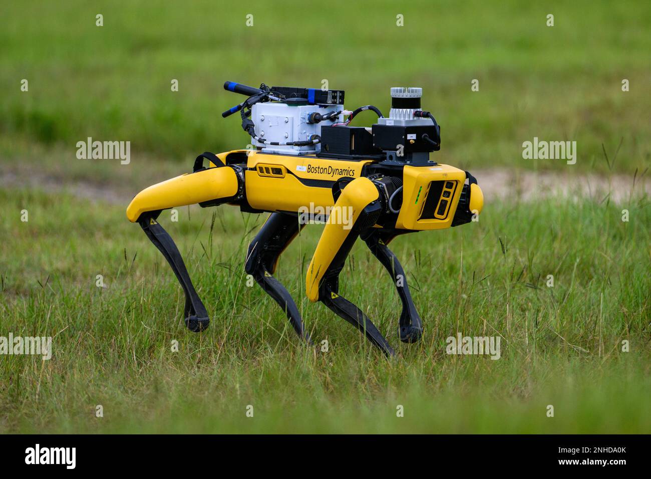 Spot autonomous-legged robot test demonstration during the 10X Robotic ...