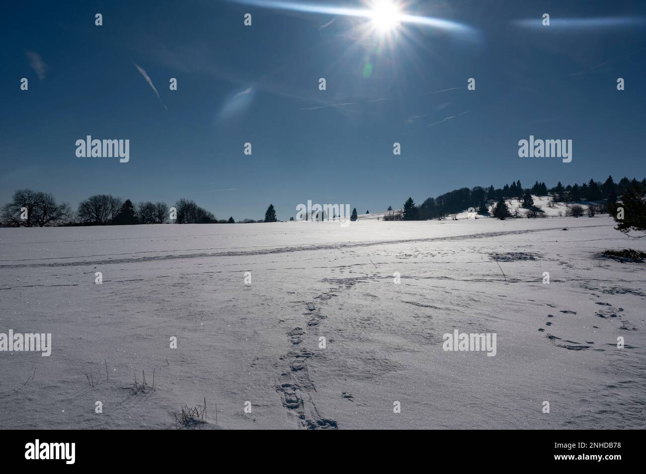 Landscape in winter with a lot of snow, bright sun and blue sky in the ...
