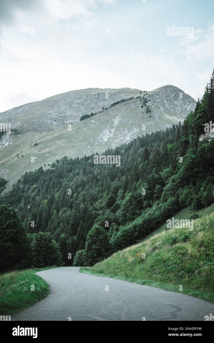Majestic mountains in the Alps covered with trees and clouds Stock ...