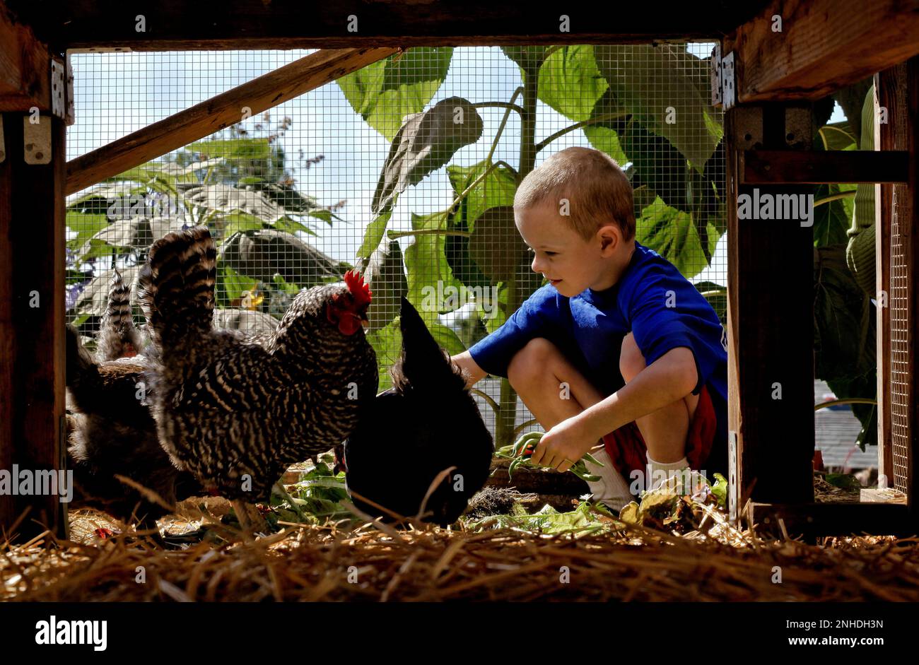 7-year-old Charlie Simpson, on Thursday July 22, 2010, inside the ...