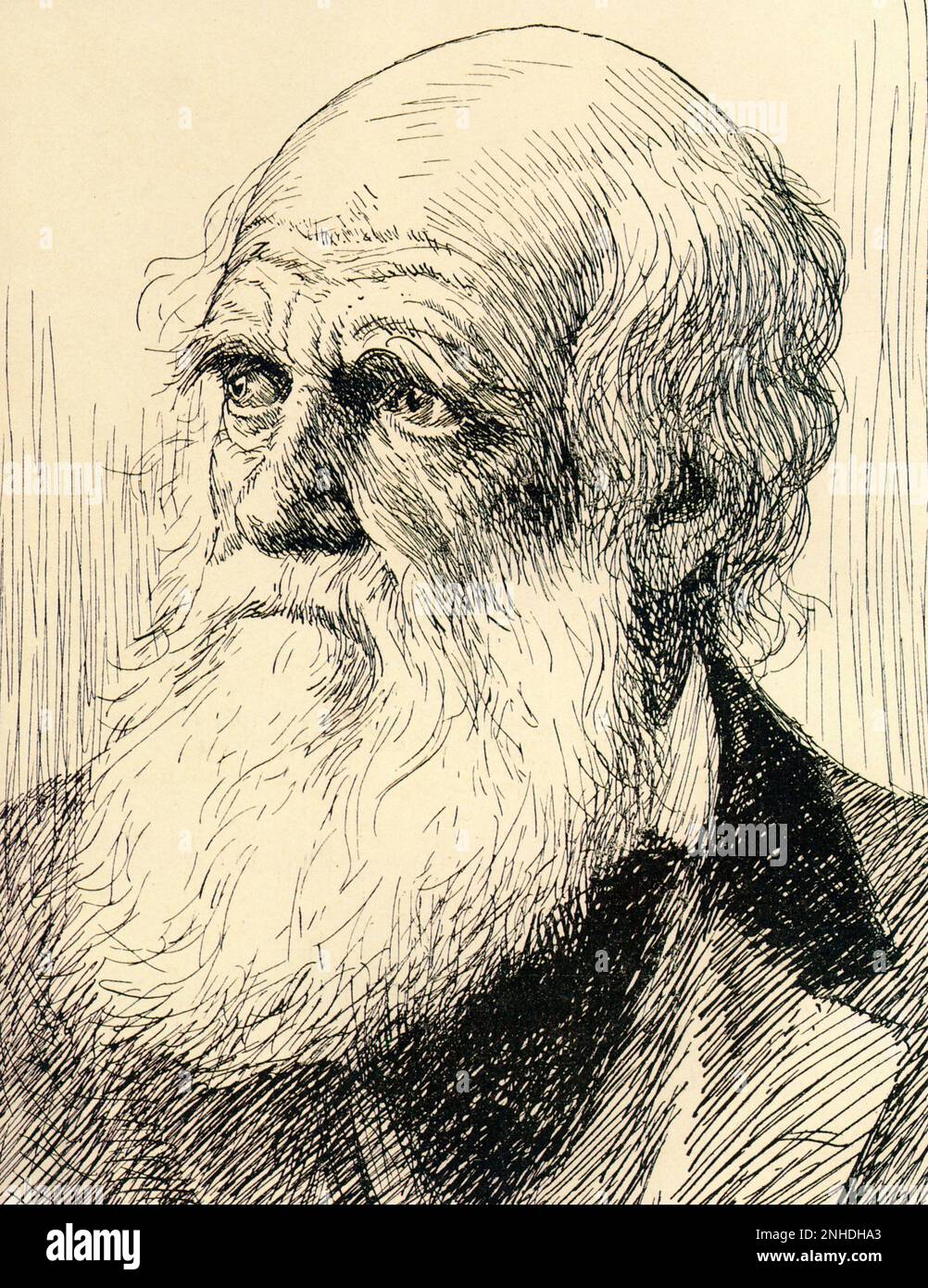 The english naturalist CHARLES Robert DARWIN ( Shrewsbury , Shropshire ...