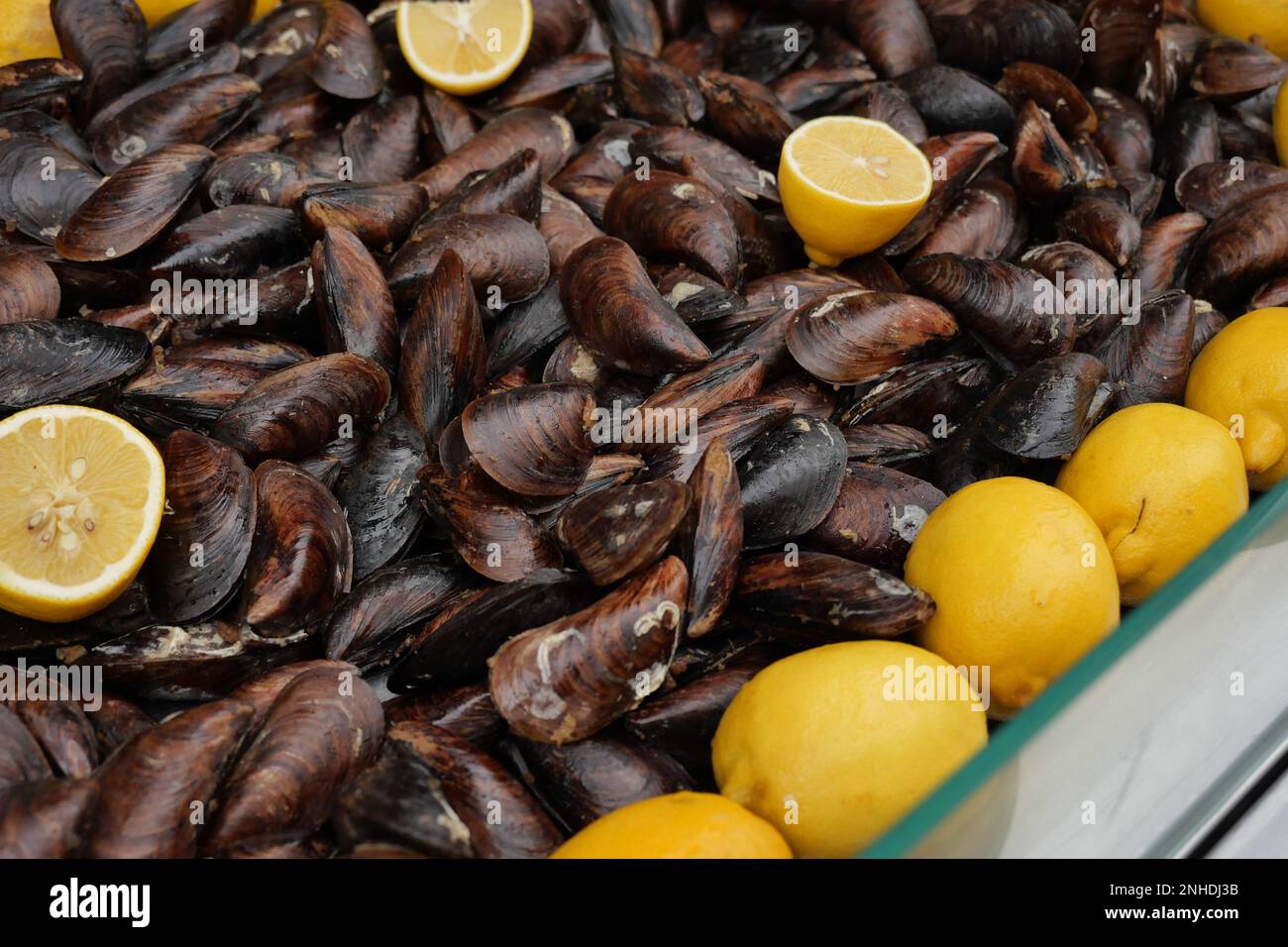 Fresh Black Shell Recipe With Lemon Turkish Food Stock Photo - Alamy