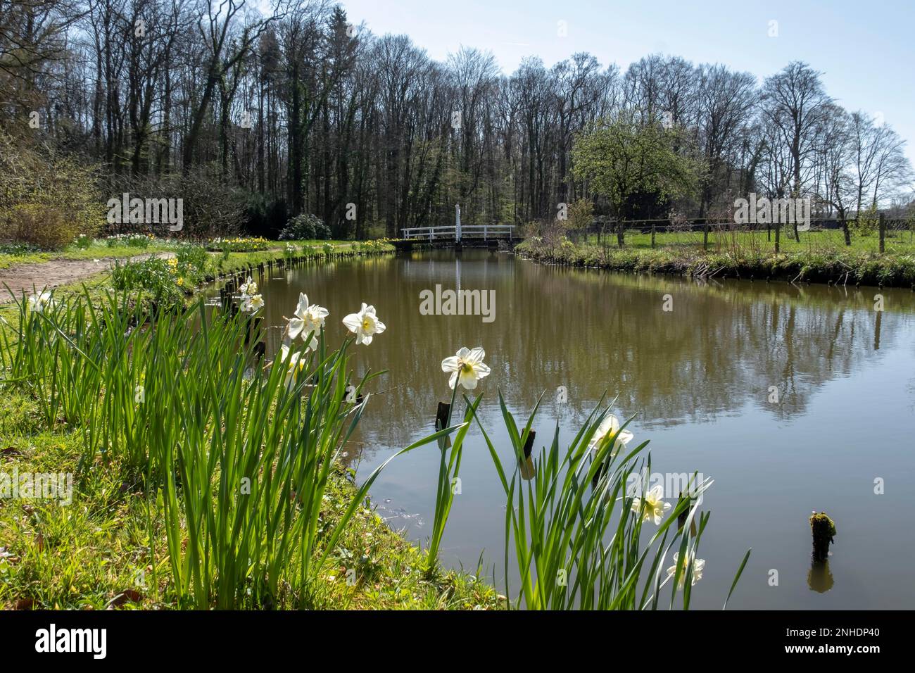 Spring at House Round Stock Photo - Alamy