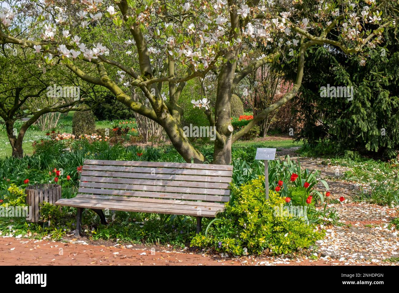 Teaching path hi-res stock photography and images - Alamy