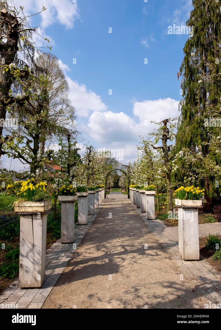 Spring in the District Teaching Garden Stock Photo - Alamy