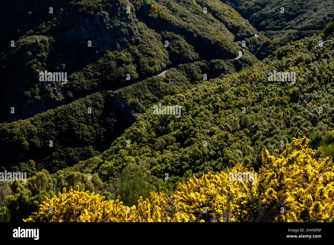 View from the Miradouro do Rabacal Stock Photo - Alamy