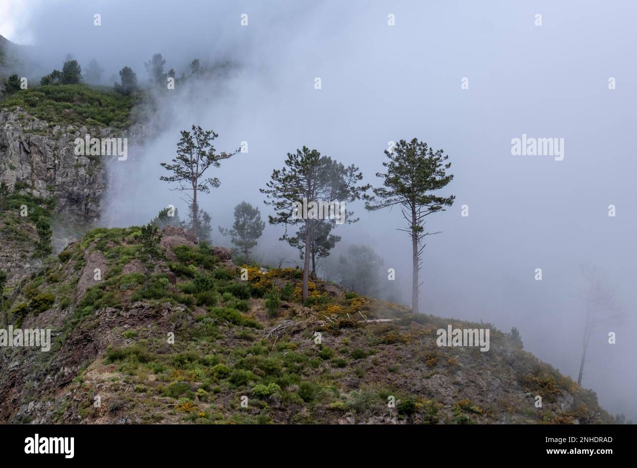 North of portugal fog hi-res stock photography and images - Alamy