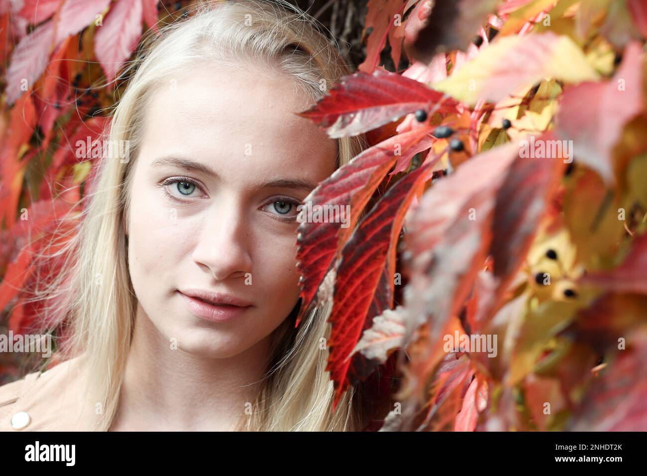 Petite blonde hi-res stock photography and images - Alamy