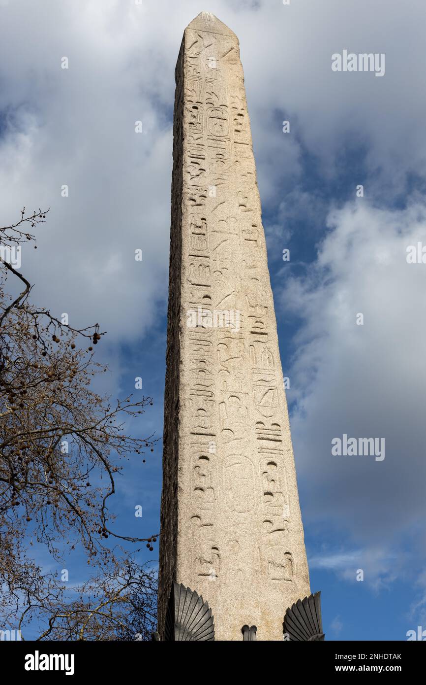 Butterfly needle hi-res stock photography and images - Alamy
