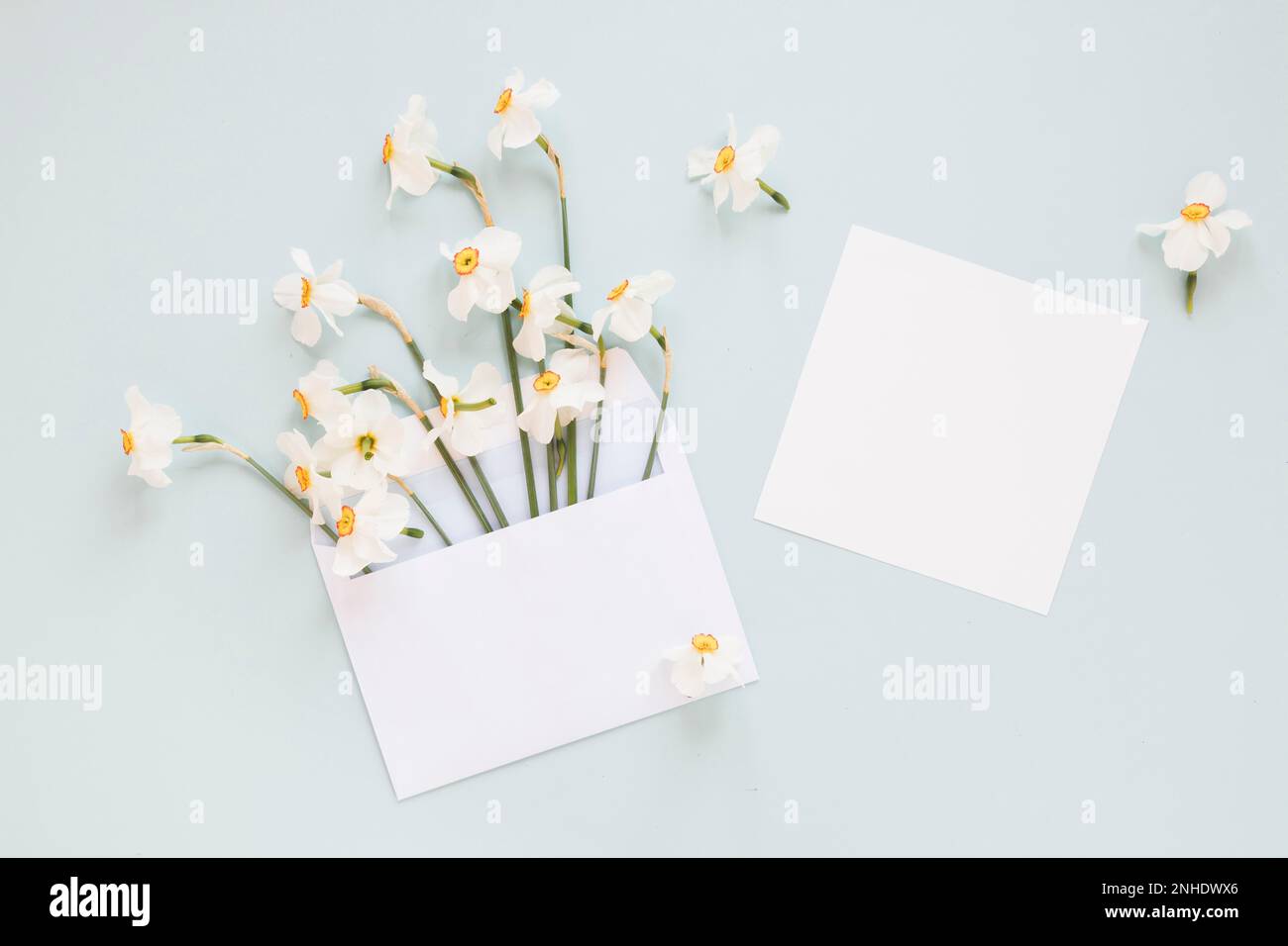 flowers. High resolution photo Stock Photo - Alamy