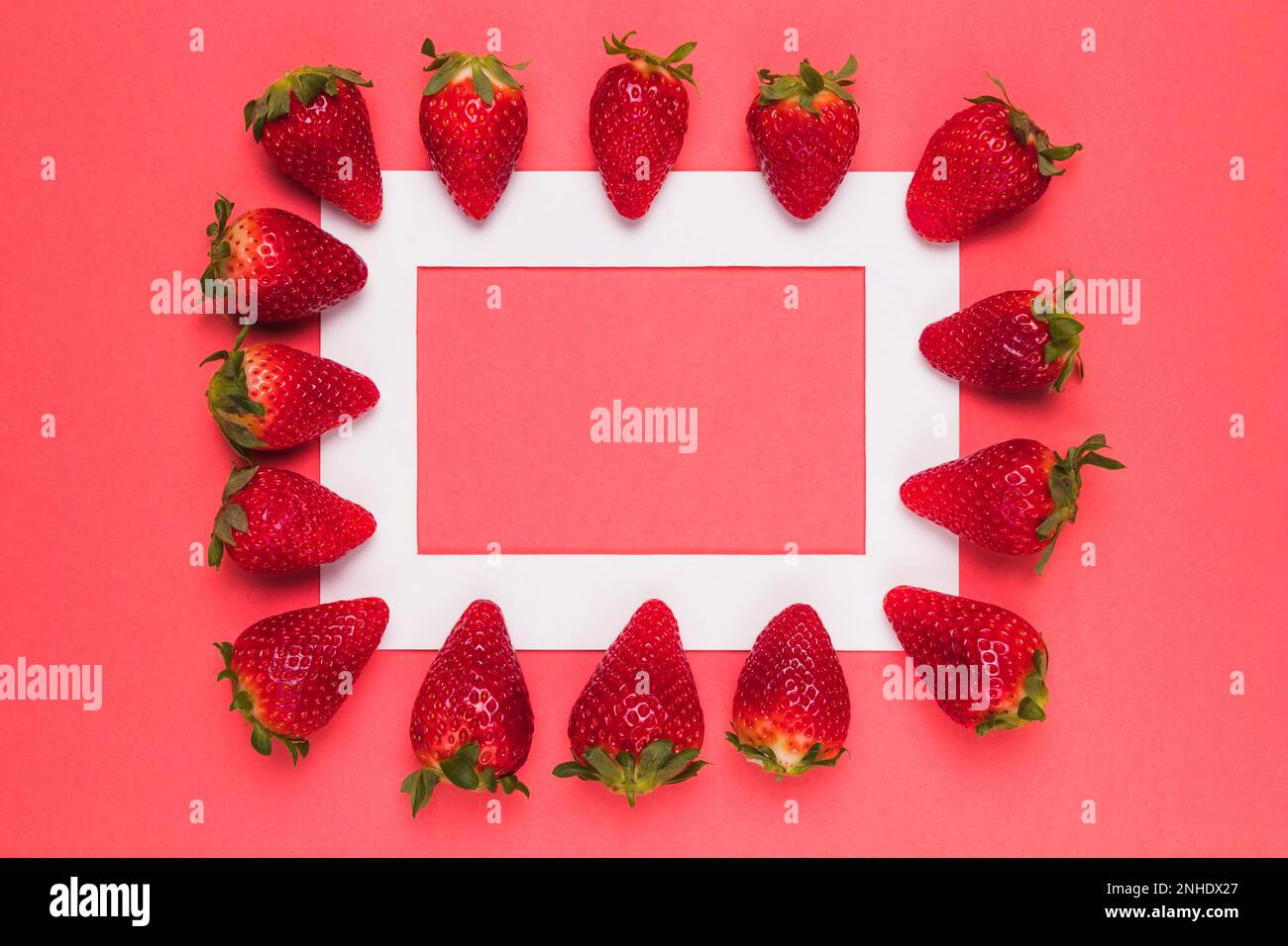 Pink Strawberry Border