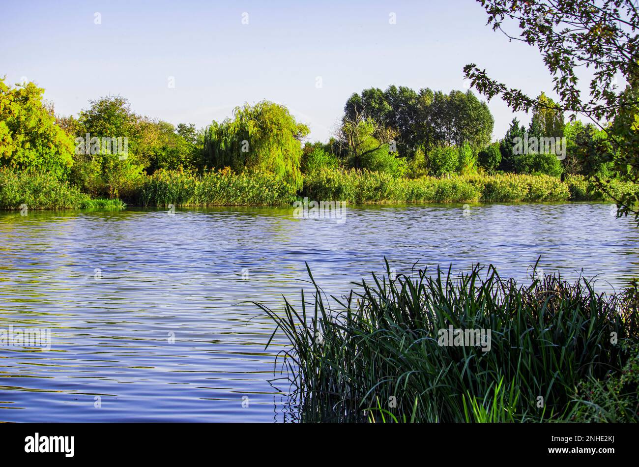Reed riverside hi-res stock photography and images - Alamy