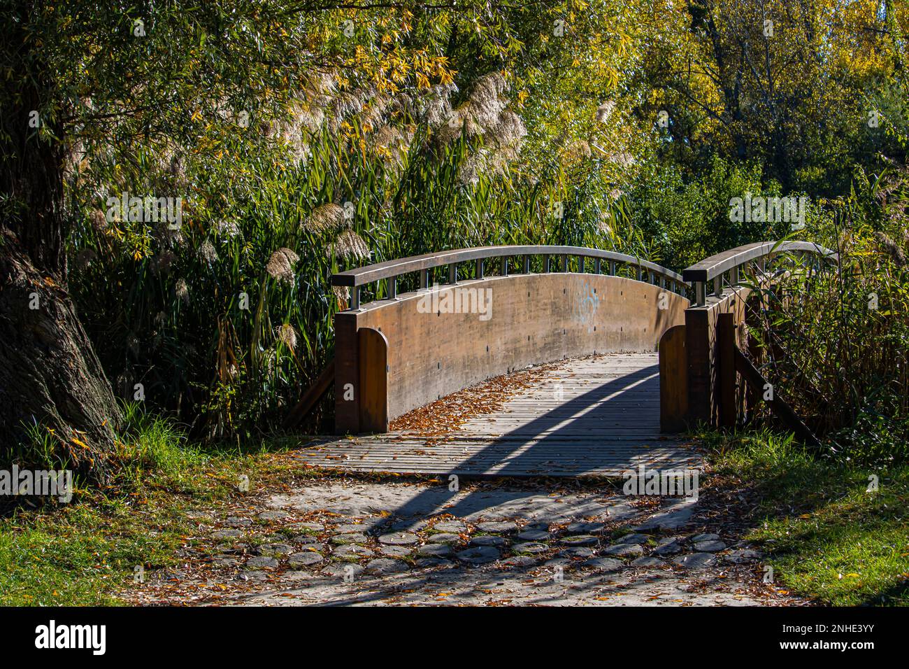 Bridge reed hi-res stock photography and images - Alamy