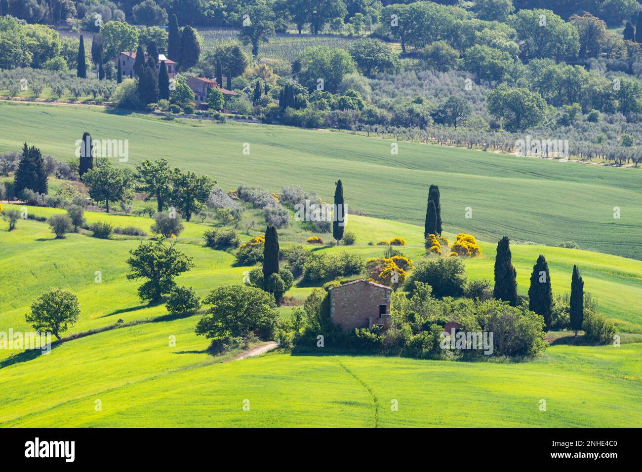 Landscape around Pienza, Val dOrcia, Orcia Valley, UNESCO World ...