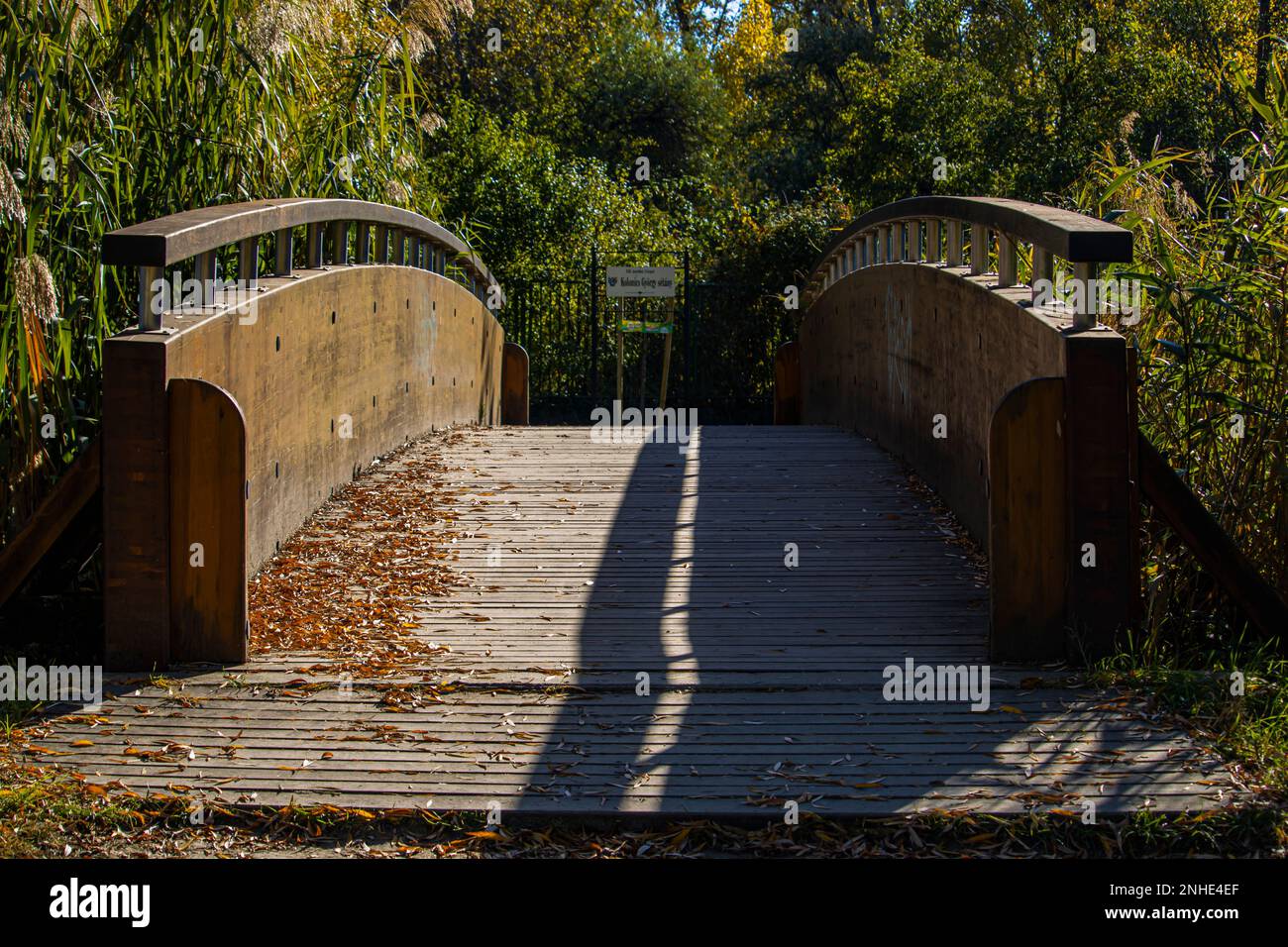 Bridge reed hi-res stock photography and images - Alamy