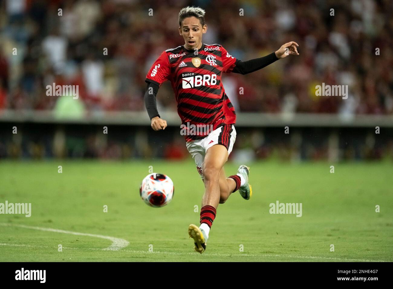 RJ - Rio de Janeiro - 01/12/2023 - CARIOCA 2023, FLAMENGO X AUDAX ...