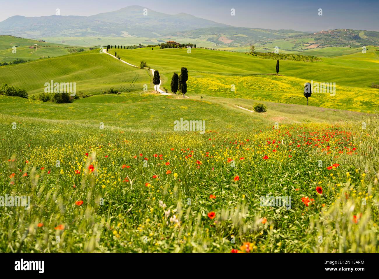 Landscape around Pienza, Val dOrcia, Orcia Valley, UNESCO World ...