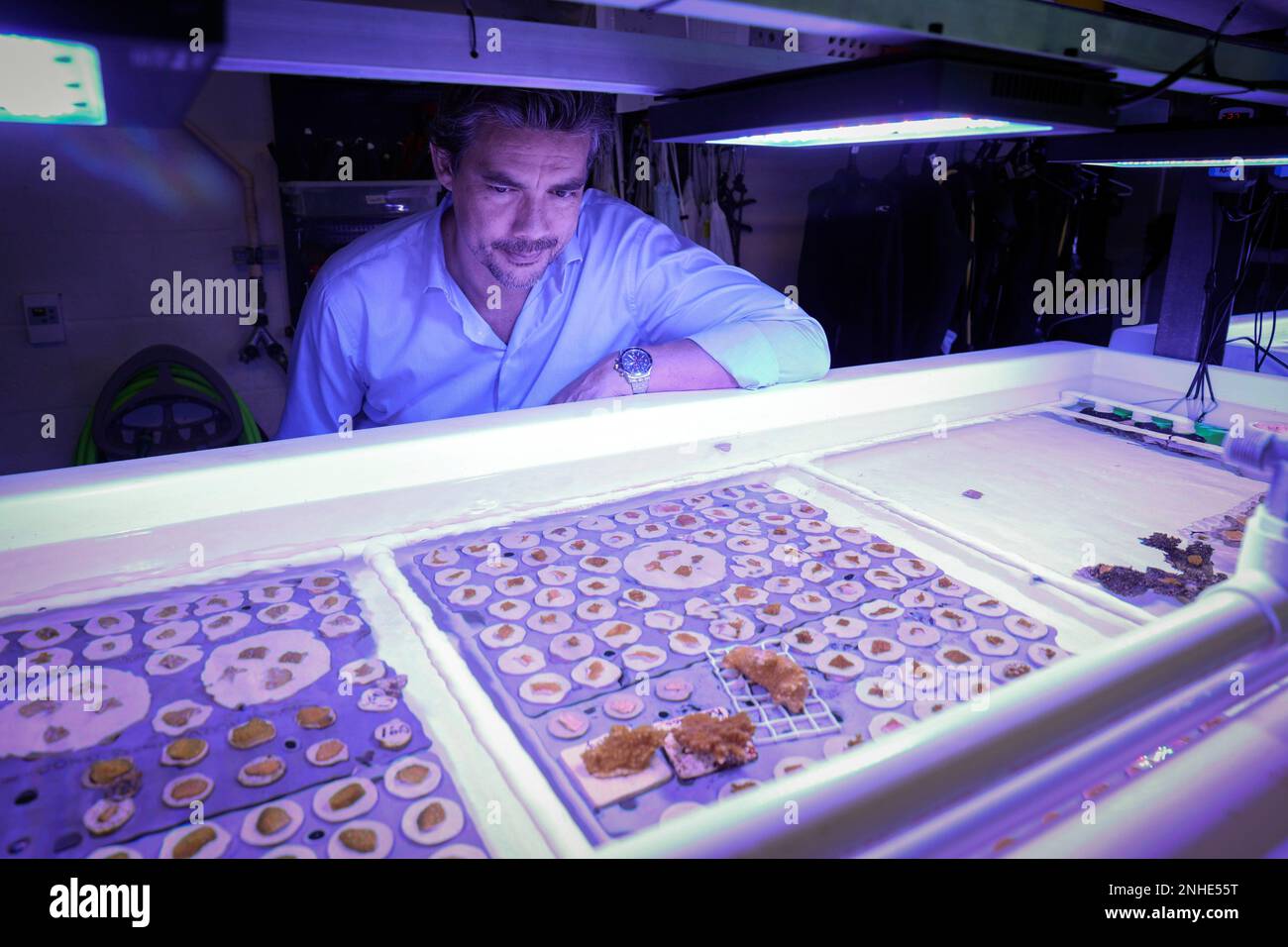 University of Miami professor Andrew Baker, PhD, poses in a wet lab ...