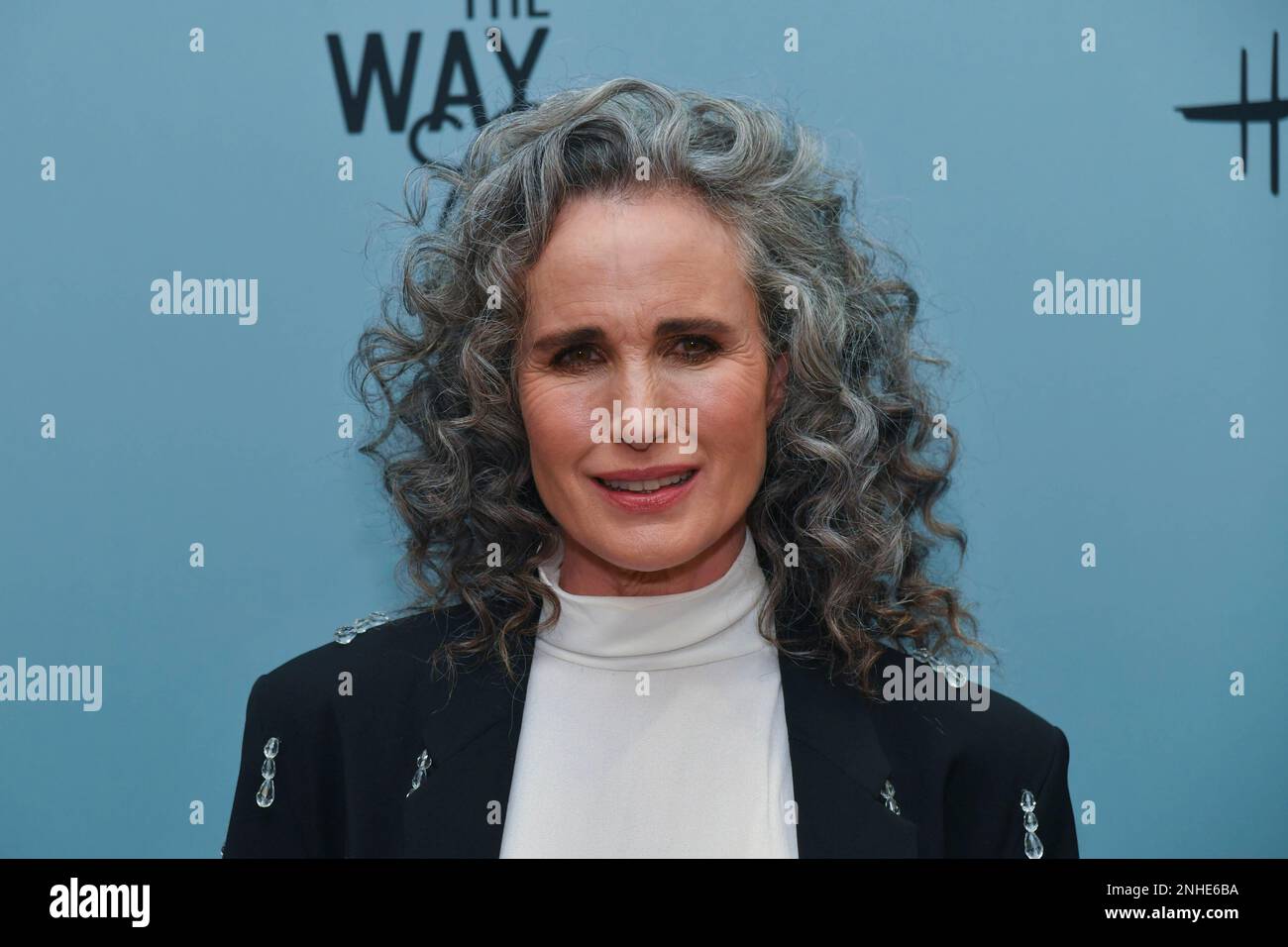 Photo by: NDZ/STAR MAX/IPx 2023 1/11/23 Andie MacDowell at 'The Way ...