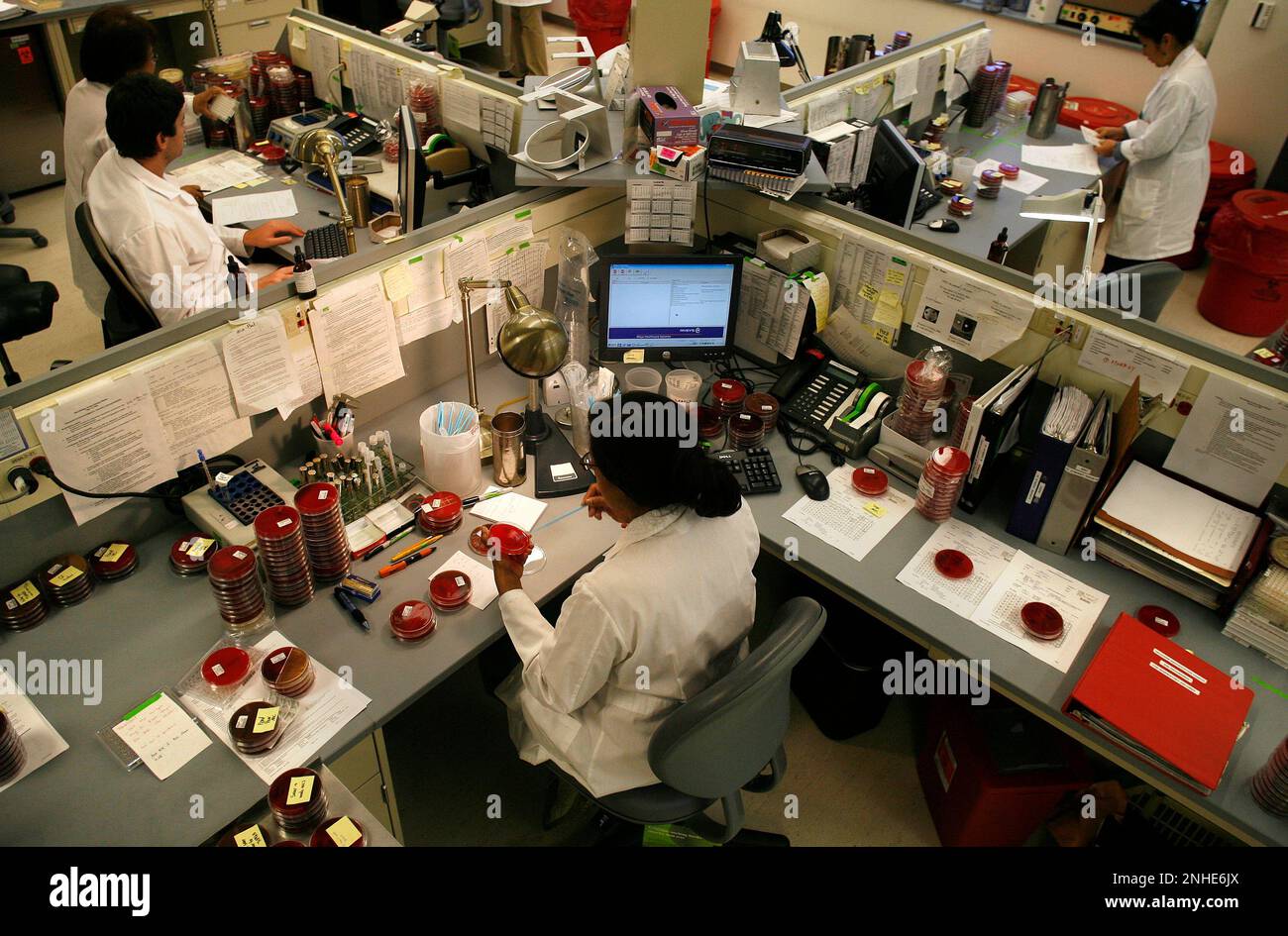 bugs2 002 mac.jpg Clinical Lab Scientist Atiya Hai, (front), one of ...