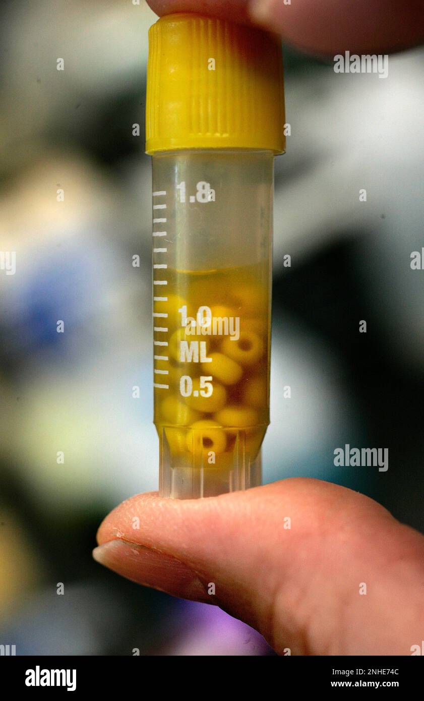 bugs3 076 mac.jpg UCSF Dr. Francoise Perdreau-Remington is the Director ...